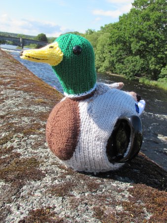 Mallard Duck Tea Cosy Knitting Pattern