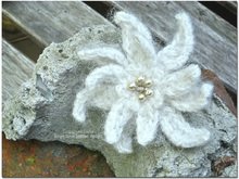 Edelweiss Edelweiß applique