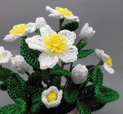 Christmas rose in crochet pot or for the vase - easy & versatile