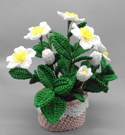 Christmas rose in crochet pot or for the vase - easy & versatile