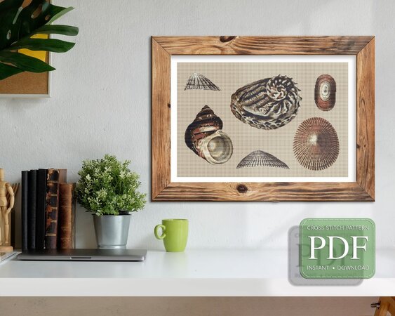 Shells > Cross Stitch Pattern PDF