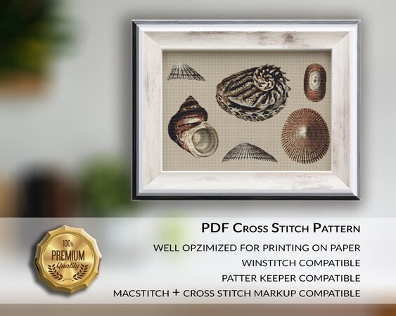 Shells > Cross Stitch Pattern PDF