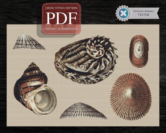 Shells > Cross Stitch Pattern PDF