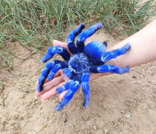 Crocheted Tarantula. Amigurumi Spider. Crochet PDF pattern.