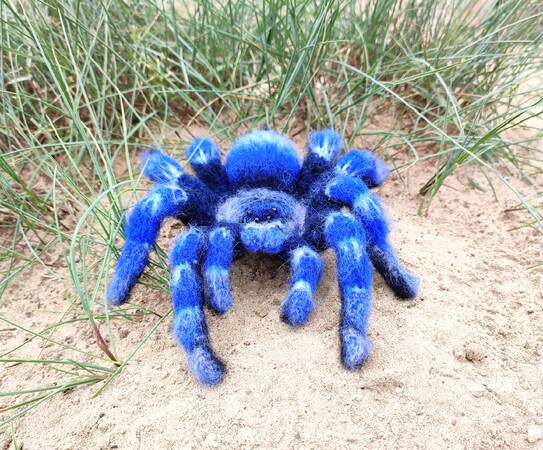 Crocheted Tarantula. Amigurumi Spider. Crochet PDF pattern.