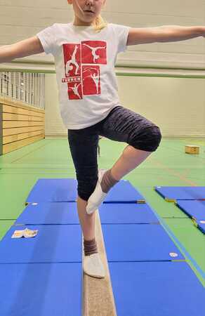 Plottervorlage Turnen