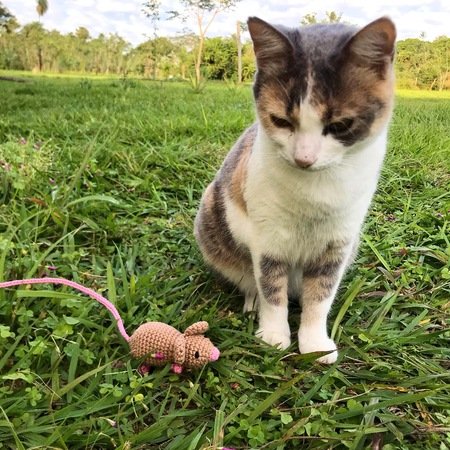 Crochet pattern mouse Muris