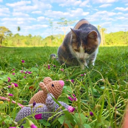 Crochet pattern mouse Muris