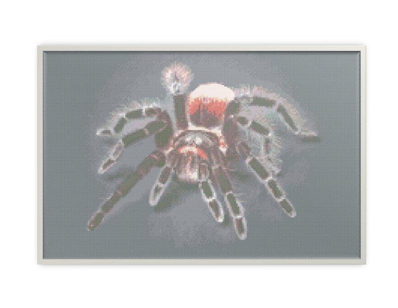 Spider tarantula cross stitch pattern