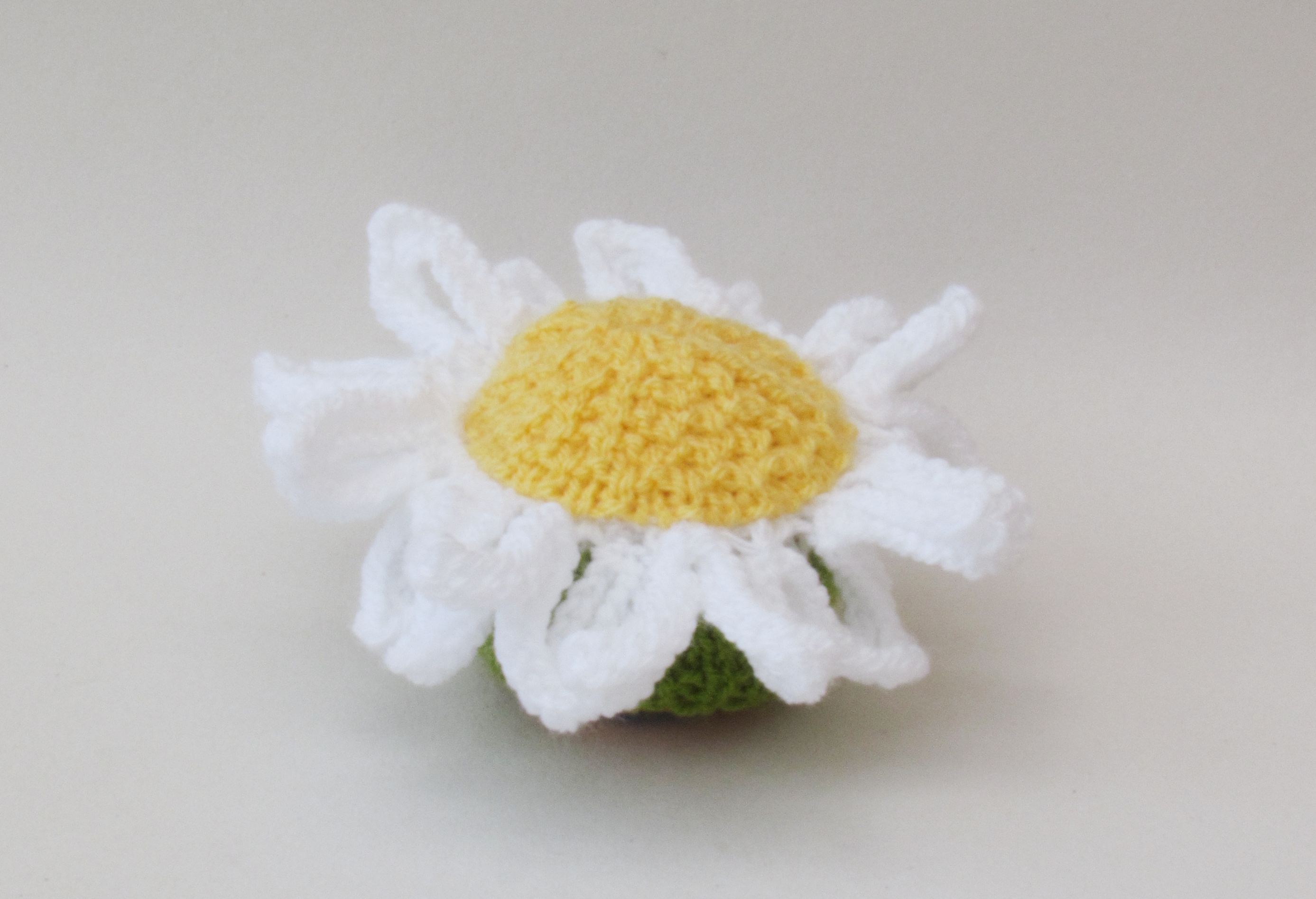 Daisy Chocolate Orange Cosy